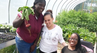 UpMobility Foundation Partners with Central New York’s The Root Farm to ...